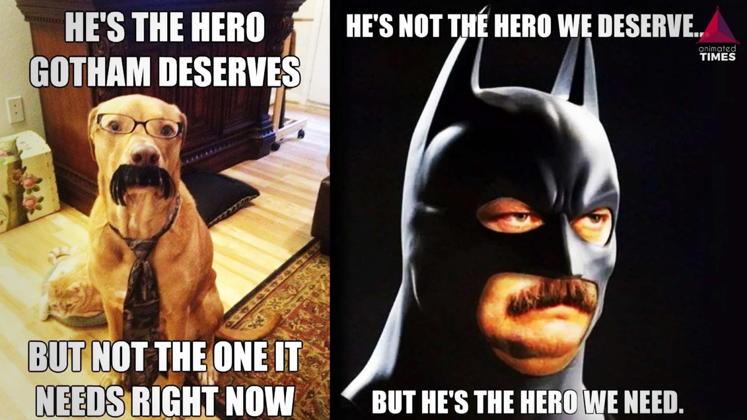 10 Amusing Batman "The Hero We Deserve" Memes - Animated Times
