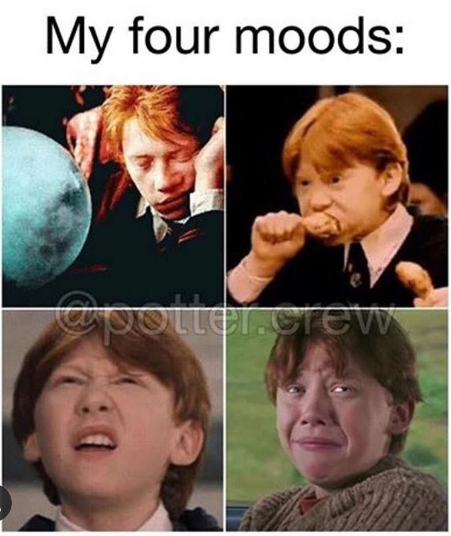 Harry Potter : 10 Ron Weasley Memes That Potterheads Will Love
