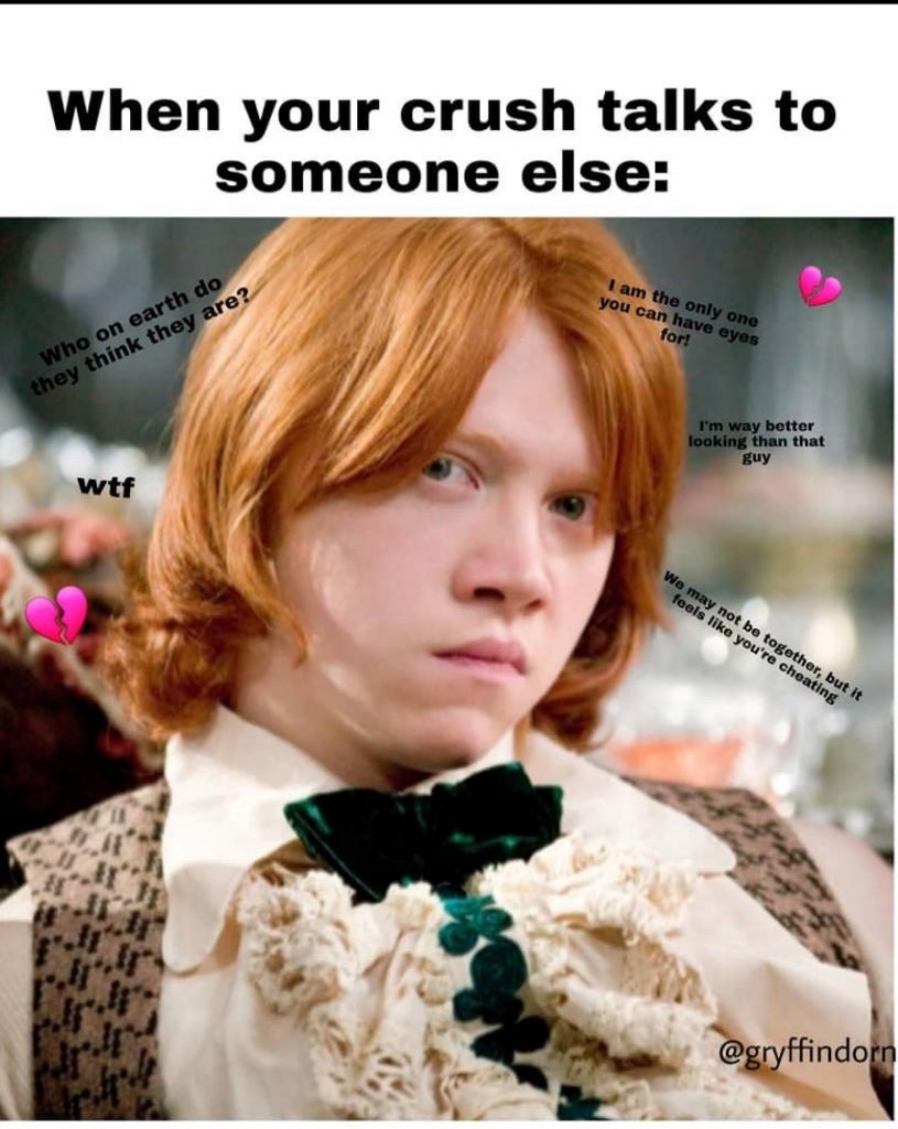 Harry Potter : 10 Ron Weasley Memes That Potterheads Will Love