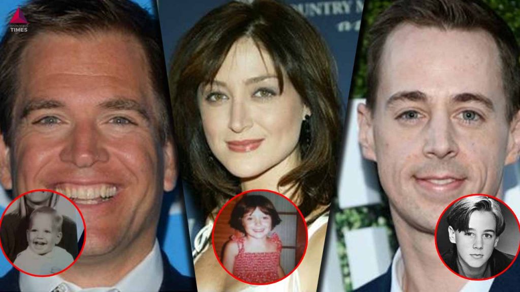 How Did The NCIS Cast Looked Like When They Were Young - Animated Times